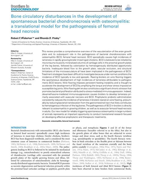 A Translational Model For The Pathogenesis Of Femoral Head Necrosis Docslib