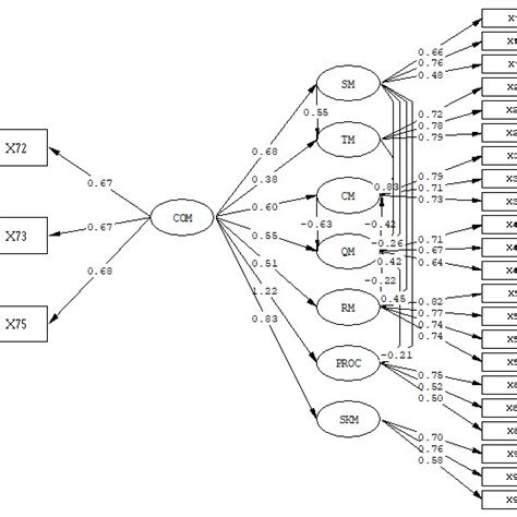 The Experimental Sem Model Download Scientific Diagram