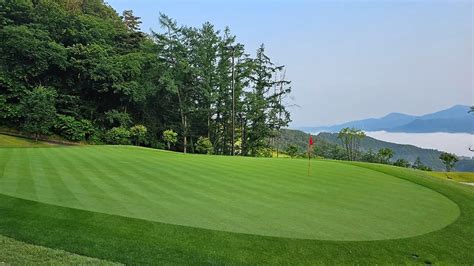 충주 일레븐 Cc 그린피 코스 날씨 골프 패키지 근처 맛집