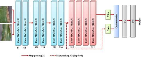 3dcnn Architecture For Corn Leaf Disease Classification Download Scientific Diagram