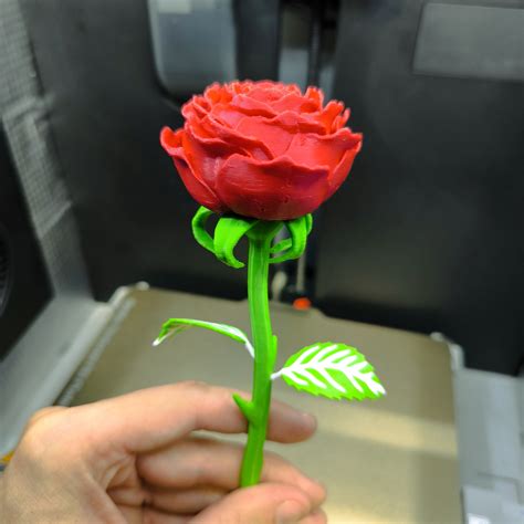 🌹 Rose No Support・impresión 3d Con La Impresora 3d Bambu Lab X1c・cults