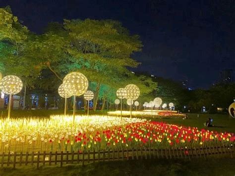 Led仿真蒲公英灯 蒲公英插地草坪灯户外防水蒲公英亮化景观灯 淘宝网 花瓣网