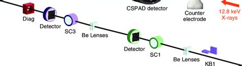 Overview Of The Selenium Single Wavelength Anomalous Diffraction Download Scientific Diagram