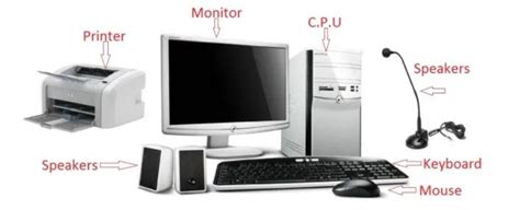 Tech Bro