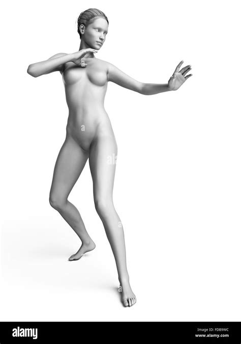 Anatomy Of A Woman With Her Arm Out Illustration Stock Photo Alamy
