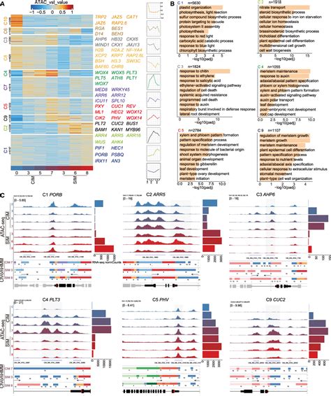 Figure 3 From Dynamic Chromatin State Profiling Reveals Regulatory