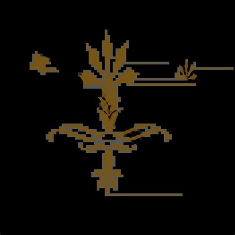 Vector Pattern Png Images Psd Free Download Pikbest