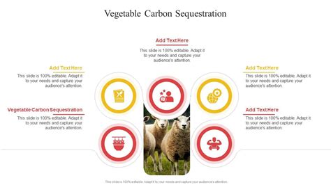 Vegetable Carbon Sequestration Ppt Presentation Cpp Ppt Presentation