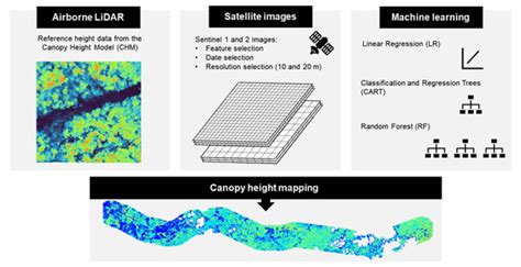 Remote Sensing Free Full Text Canopy Height Mapping By Sentinel 1 And 2 Satellite Images