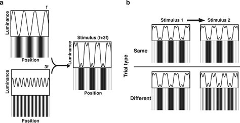 Figure 1 From Activations In Visual And Attention Related Areas Predict