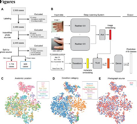 closing the ai generalization gap by adjusting for dermatology