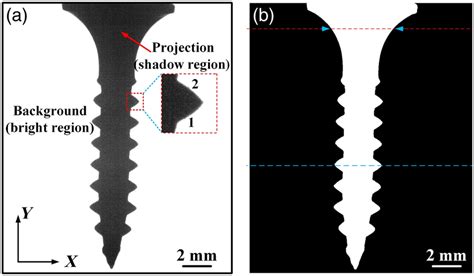 A Raw Contour Projection Chart Where The Raw Intensity Of Boundary