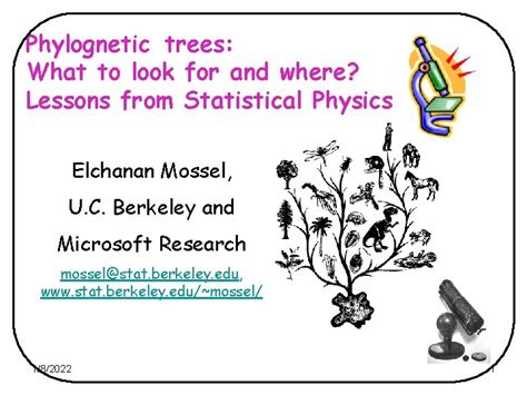 phylognetic trees what to look for and where