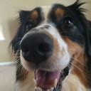 Solved Export Geodatabase Data To Excel Esri Community