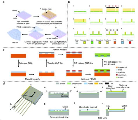 Novel Mea Fabrication Methods A Fabrication Steps For The Stretchable Download Scientific