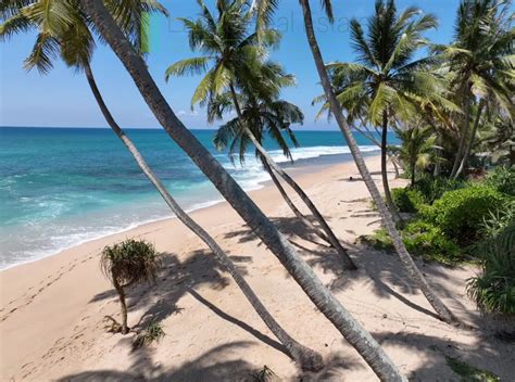 For Sale Oceanfront Gem On Akurala Beach Lanka Real Estate