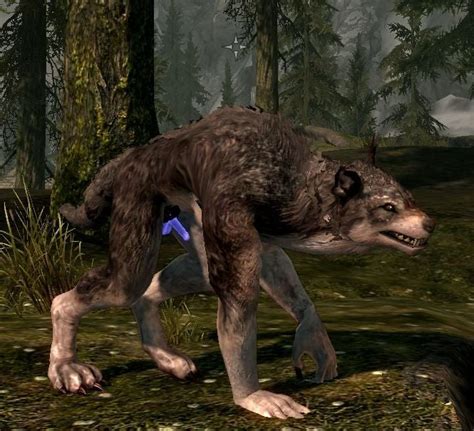 The Scientific Approach To Invisible Werewolves Technical Support Sexlab Framework Loverslab