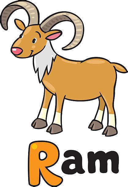 Best Urial Illustrations Royalty Free Vector Graphics And Clip Art Istock