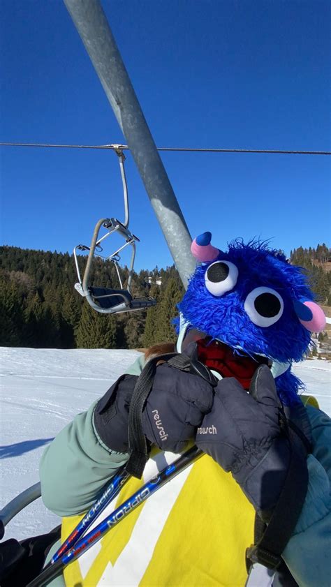 Stmcomprehensive On Twitter Cookie Monster Located Where Were You Isla Oh Thats Right