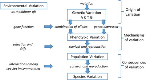 Variation Biology