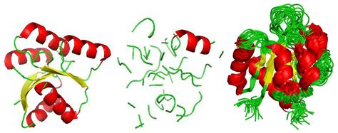 biology free full text dynamic programming used to align protein structures with a spectrum