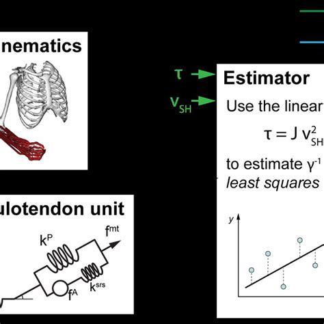 schematic structure of the proposed estimator download scientific