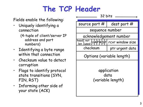 Ppt The Tcp Protocol Powerpoint Presentation Free Download Id 6258016