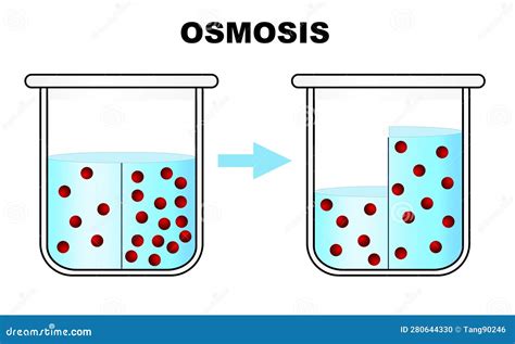 Osmosis Animation
