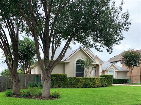 Tree Trimming Hedge Pruning Services In Austin TX Grass Works Lawn Care