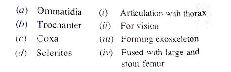 Match The Columns And Choose The Exact Combination Sarthaks Econnect Largest Online
