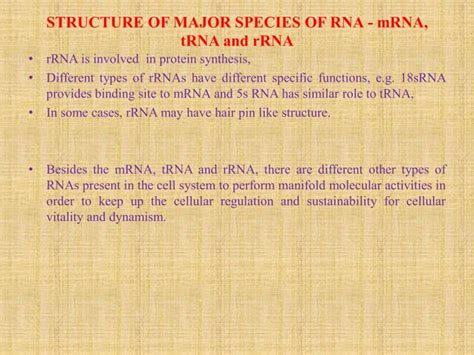 Nucleic Acid Its Structural And Functional Complexity Ppt