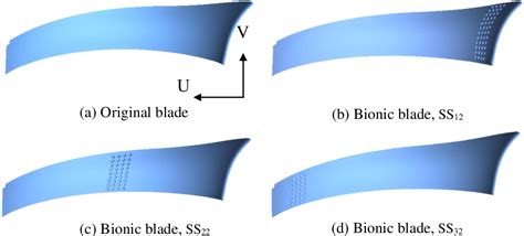 Figure 3 From Influence Of Bionic Structure On Hydraulic Performance