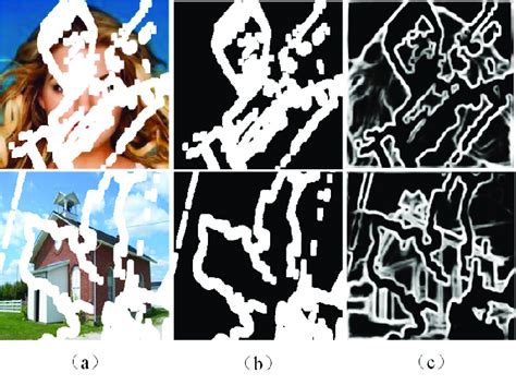 Example Of The Edge Extraction Effect Of The Hed Edge Detector On An