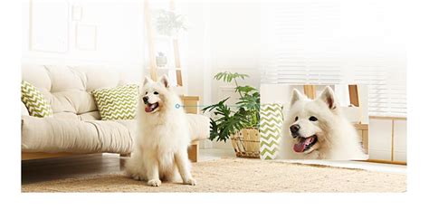 Camera Wifi quay quét 2K tích hợp AI EZVIZ C6 4MP Khánh Long Camera