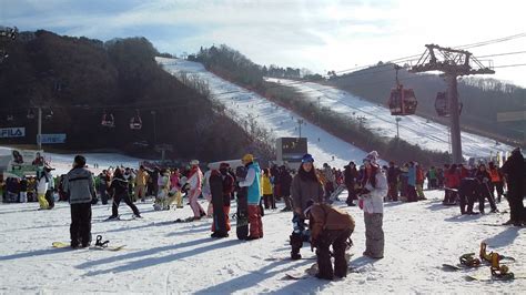 백만대명 토요일오후 스키보드 딜바다닷컴