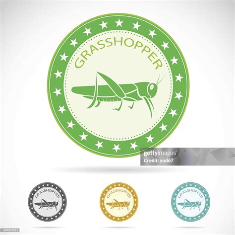 Set Of Vector Grasshopper Label High Res Vector Graphic Getty Images