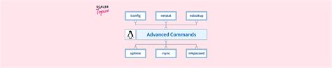Top Advanced Commands For Linux Scaler Topics Top Advanced Commands For Linux Scaler Topics