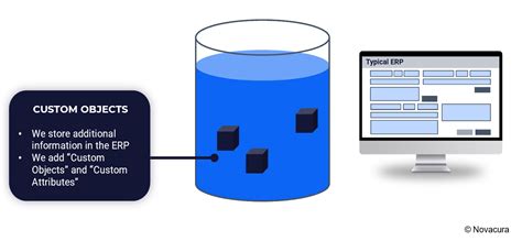 Deep Erp Integration An Explanation And Why You Should Use It Novacura