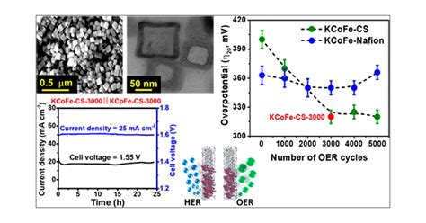 Hydrogel Polymerpba Nanocomposite Thin Film Based Bifunctional Catalytic Electrode For Water