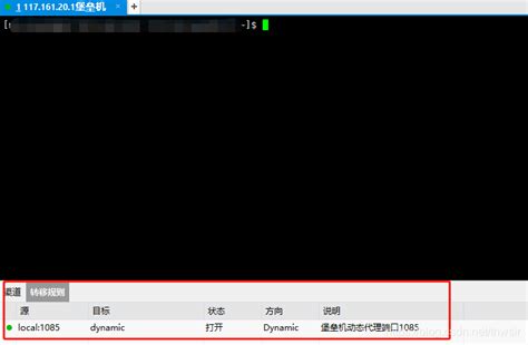 xshell动态代理的使用 xshell代理 csdn博客