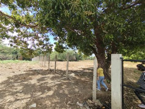 Bakod Sa Pilipinas 4284 Properties April 2024 On