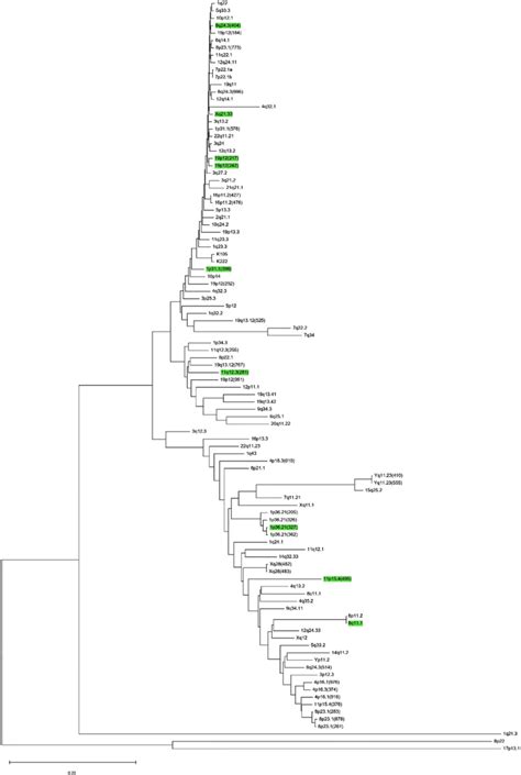 Compilation Of All Known Herv K Hml 2 Proviral Integrations Mobile