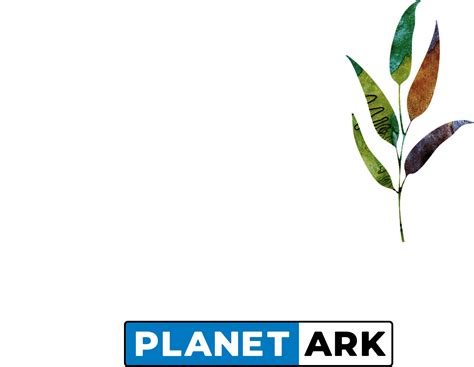 Planet Ark National Tree Day