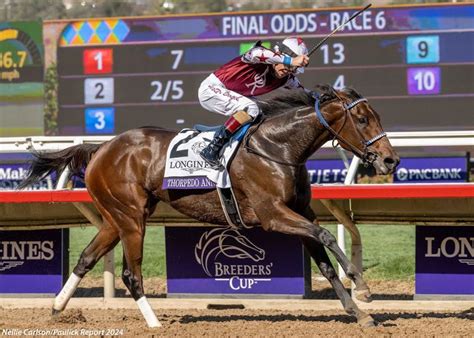 Thorpedo Anna Has Bone Splinter Removed From Jaw