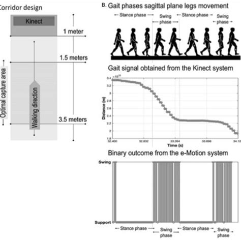 Relation Between The Gait Signal And Each Gait Phases Download