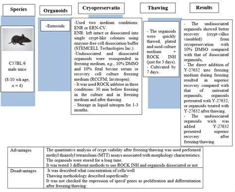 Cryopreservationthawing Protocols To Maintaining Long Culture Of Download Scientific Diagram