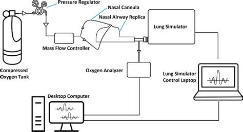 Schematic Of The Experimental Setup Arrows Indicate Flow Direction Download Scientific Diagram