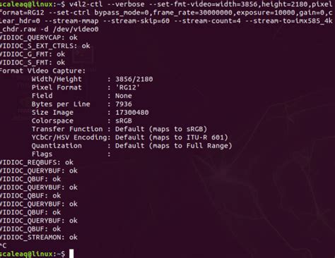 v4l2 ctl raw reading works in jp4 5 but doesn t work in jp 4 6 jetson