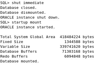 Oracle DBA Dataguard Creating Physical Standby Database Using RMAN