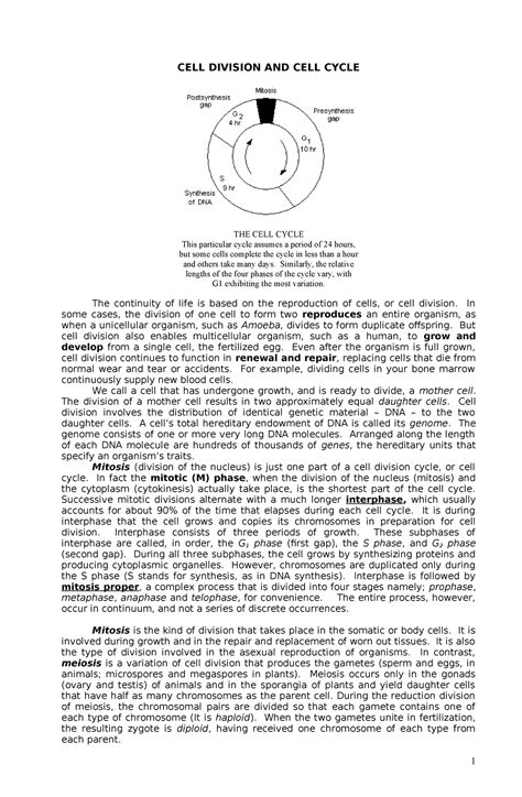 Cell Cycle 1 Cell Cycle 1 Cell Division And Cell Cycle The Cell